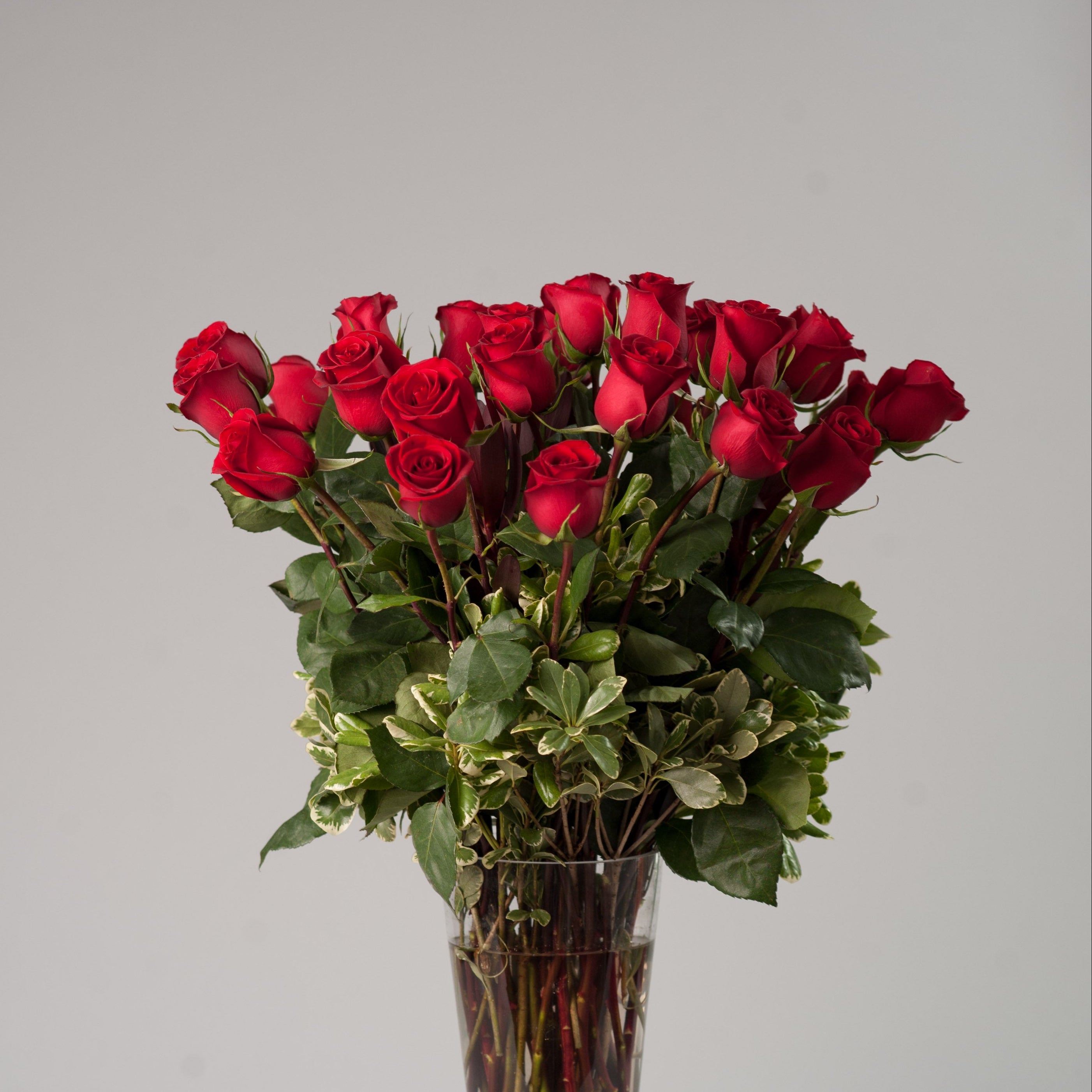 Roses – Allan Woods Flowers