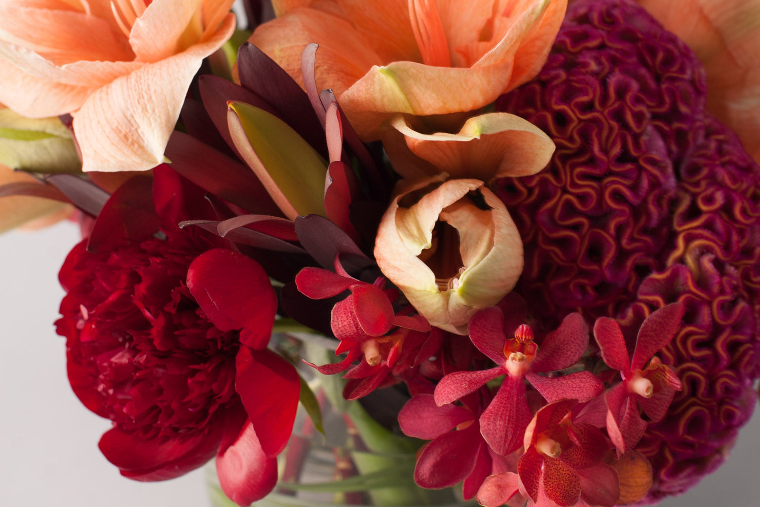 Washington DC Florist Floral Delivery Allan Woods Flowers
