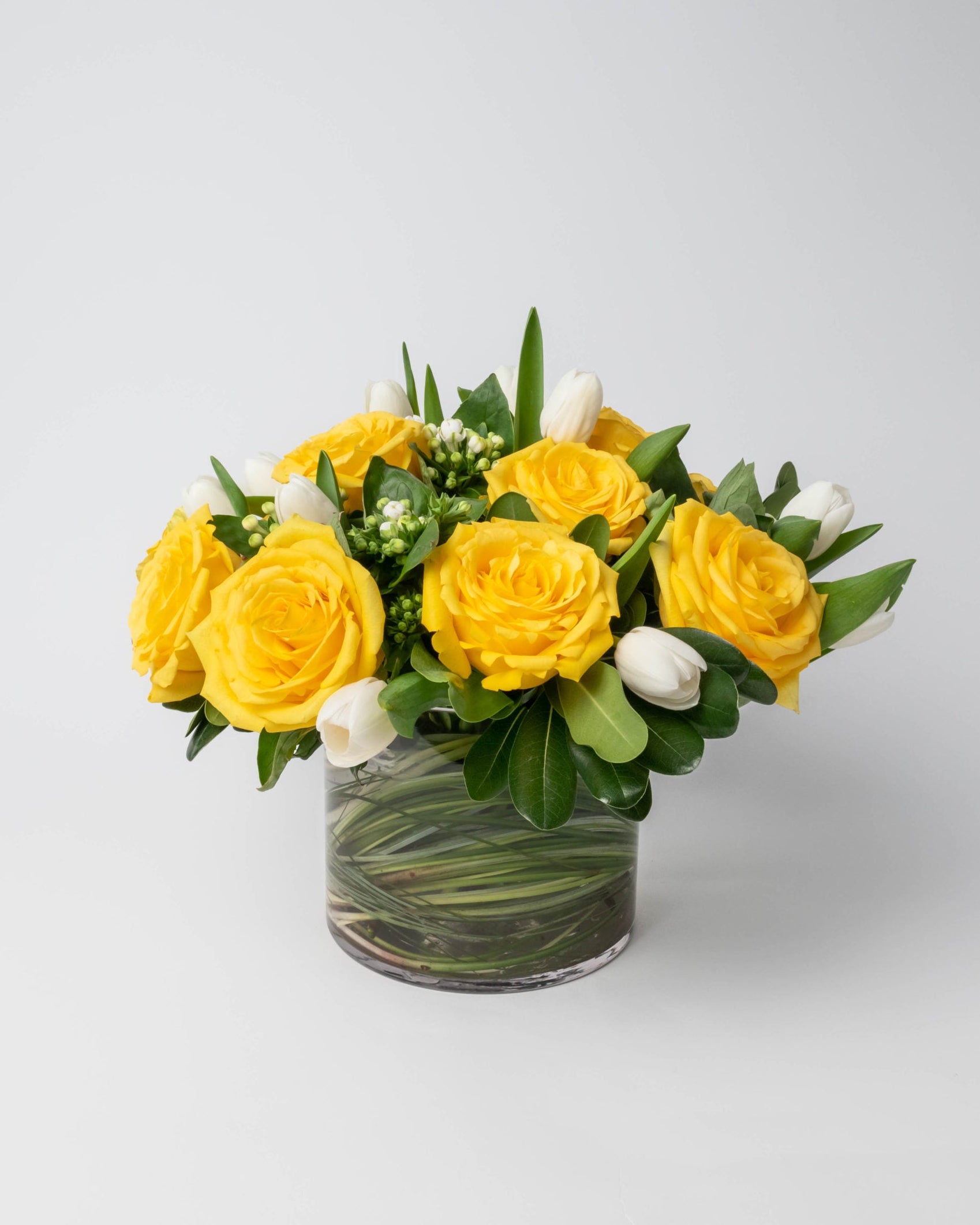 Spring Sun – Allan Woods Flowers